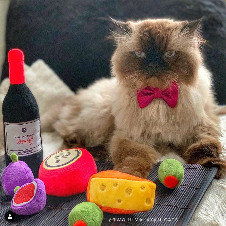 Munchiecat - Luxury Japanese-Inspired Cat Toys & Cultural Charm