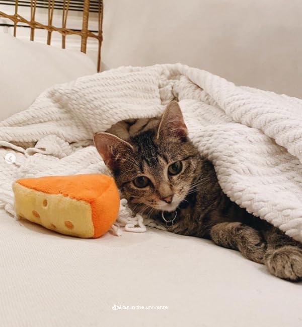 Cheese Wedge Cat Toy – Premium Catnip Playtime Delight | Munchiecat