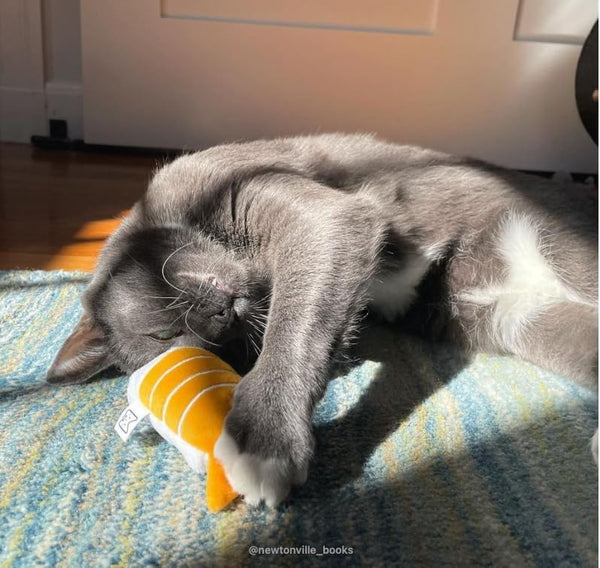 Nigiri Sushi Cat Toy with Catnip (1-pc) - Munchiecat